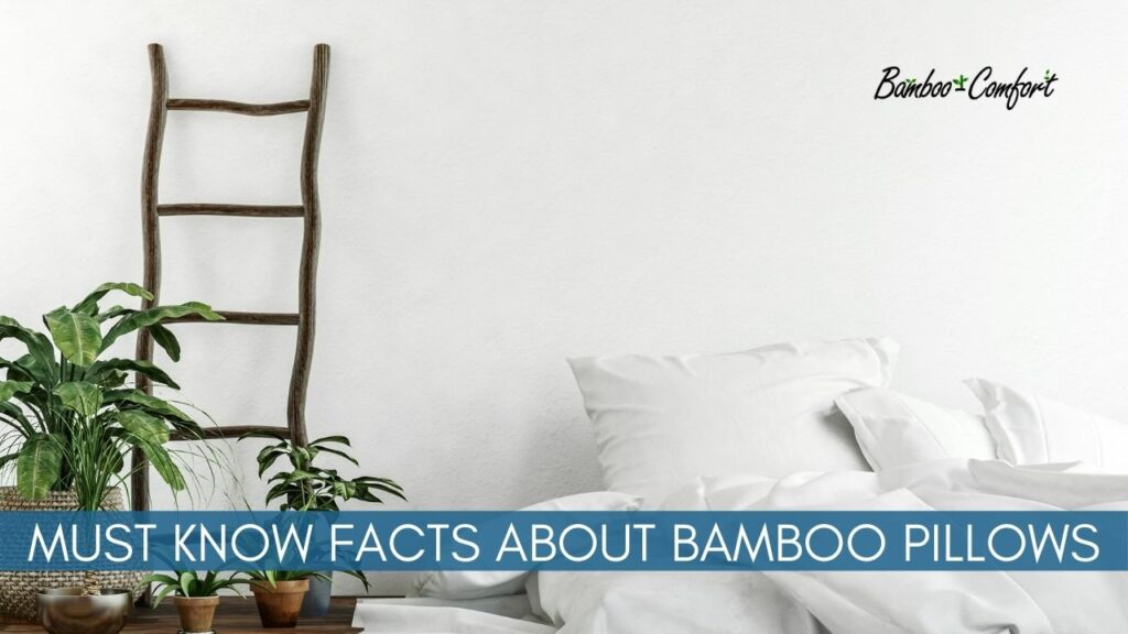 How Long Do Bamboo Pillows Last? Everything you need to know!